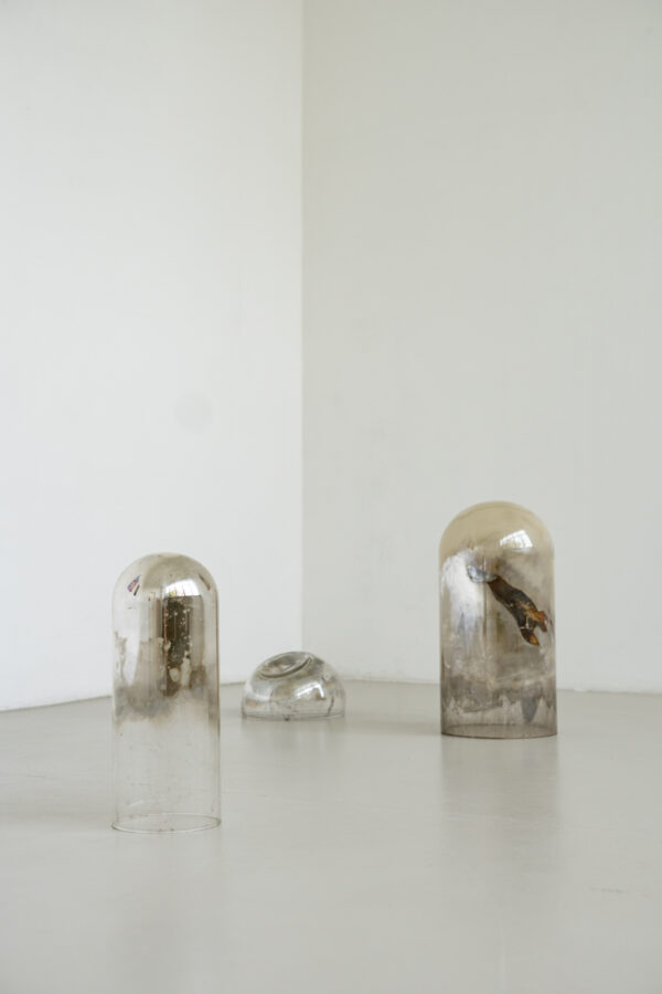 Kunstverein Nürnberg